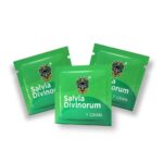 Salvia Hut: America's #1 Salvia Divinorum